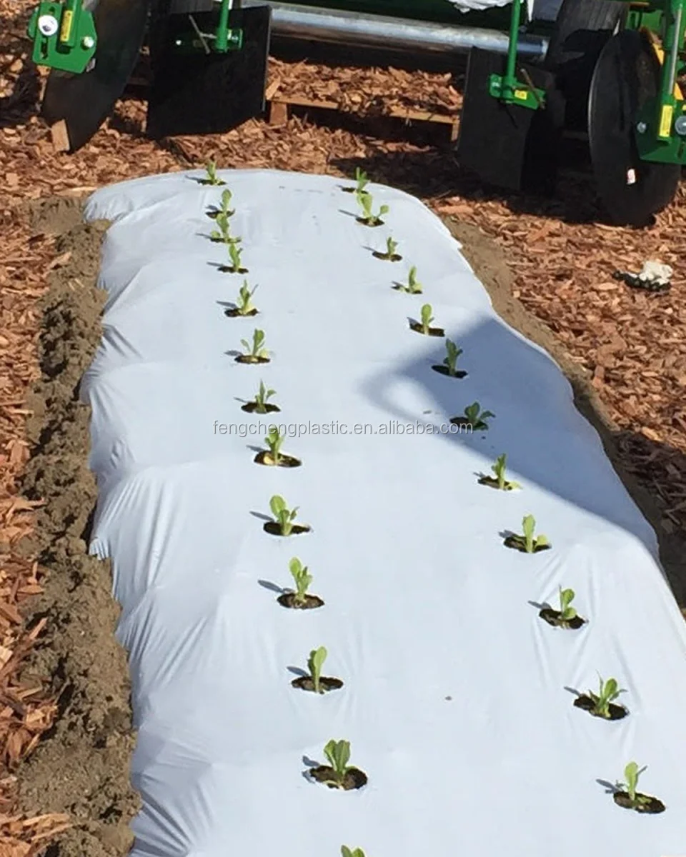 Agriculture Vegetables Crops Compostable Mulch Paper / Silver Black ...