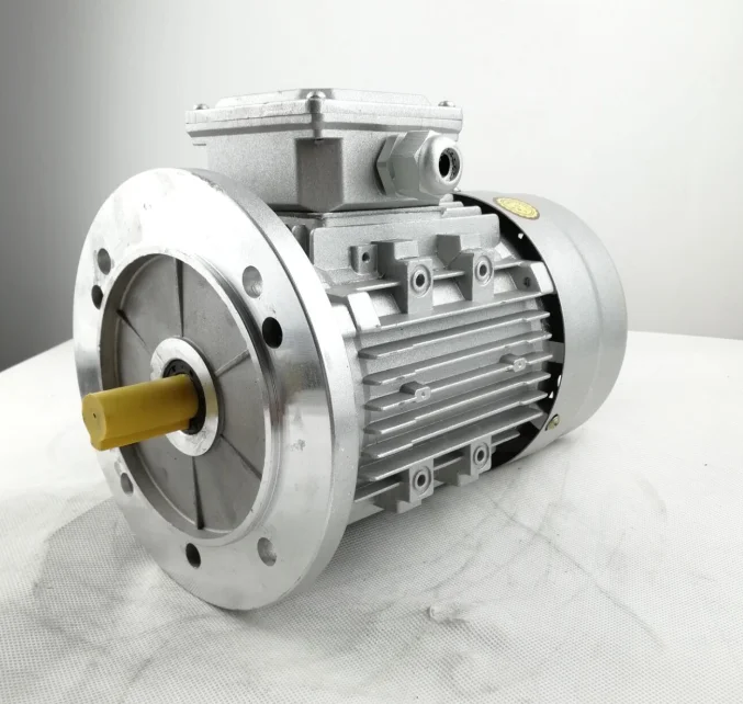 MS 3 Phase Asynchronous Motors - High Efficiency & Durability