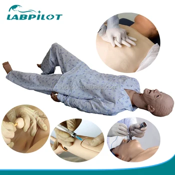 Multi-functional Elderly Nursing Dummy,Iv Injection,Intubation And Cpr ...