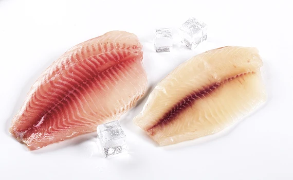 pollockfish-千图网