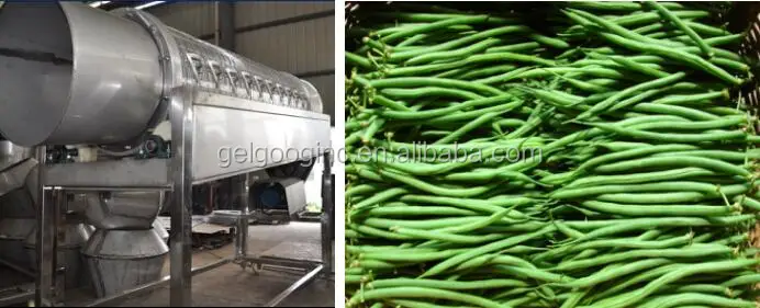 Electric Green Bean Vegetable Cutter Green Bean Cutting Machine - Buy ...