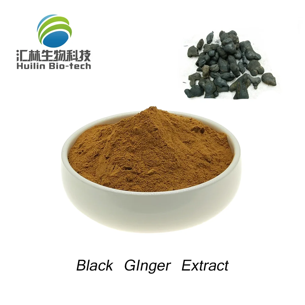 Dried Black Ginger Root Extract Powder Black Ginger Extract Powder ...