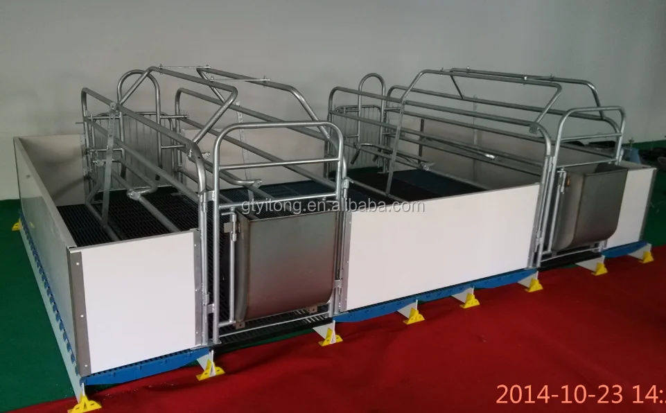 PVC Maternity PVC Panel Sow Farrowing Crate - Durable & Cost-effective