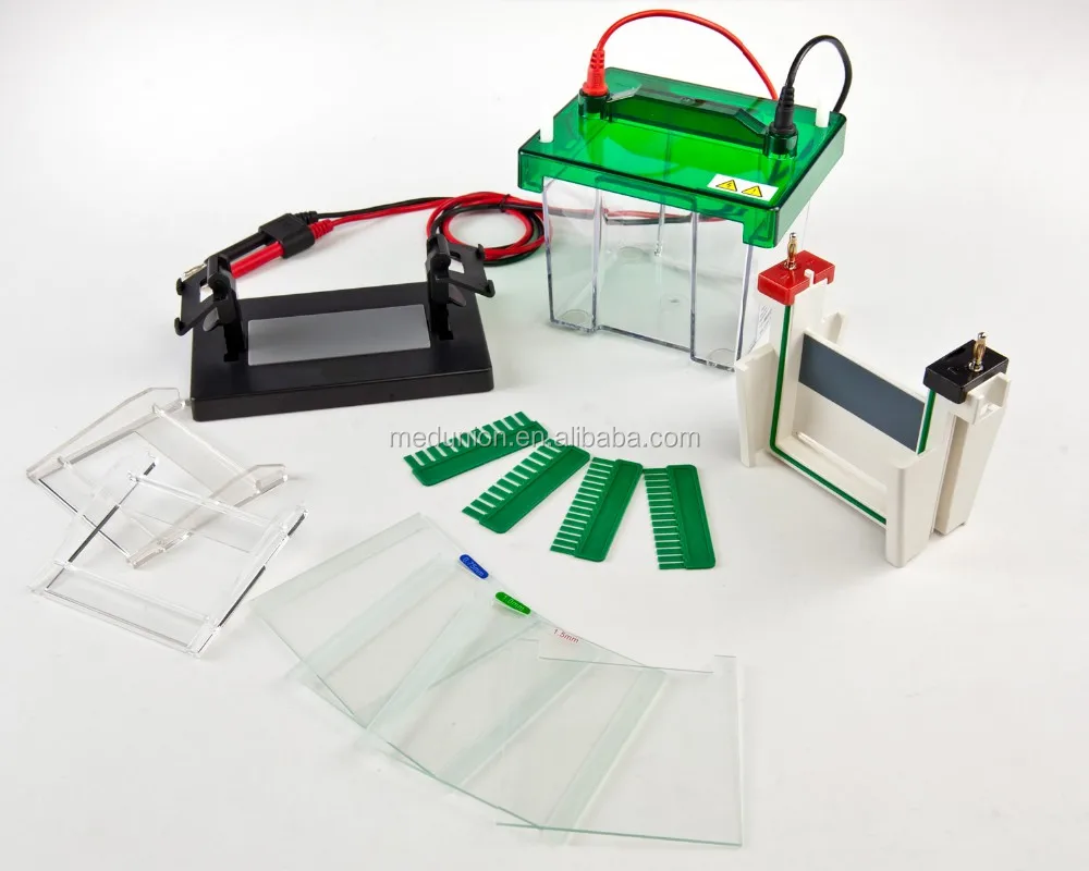 New Advanced Horizontal Electrophoresis Tank Gel Hb Electrophoresis ...