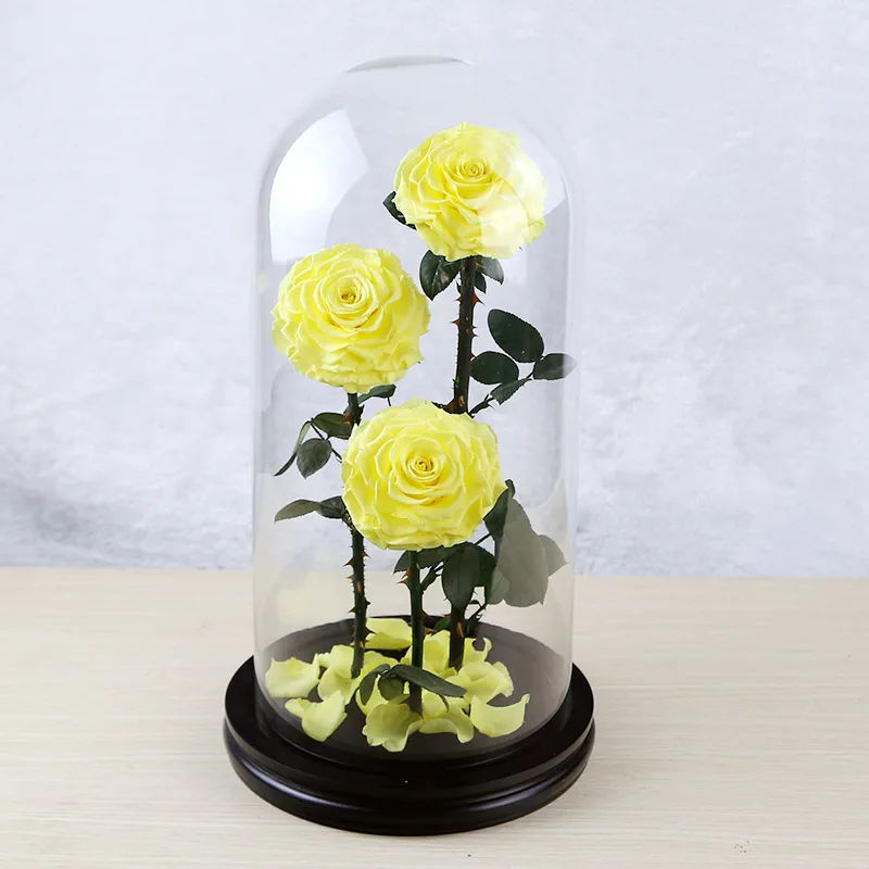 Handmade Preserved Flower Rose Three Preserved Rose With Glass Dome ...