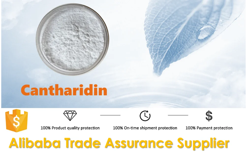 Natural Extract Cantharidin Powder For Anti Hair Loss - Buy Cantharidin ...