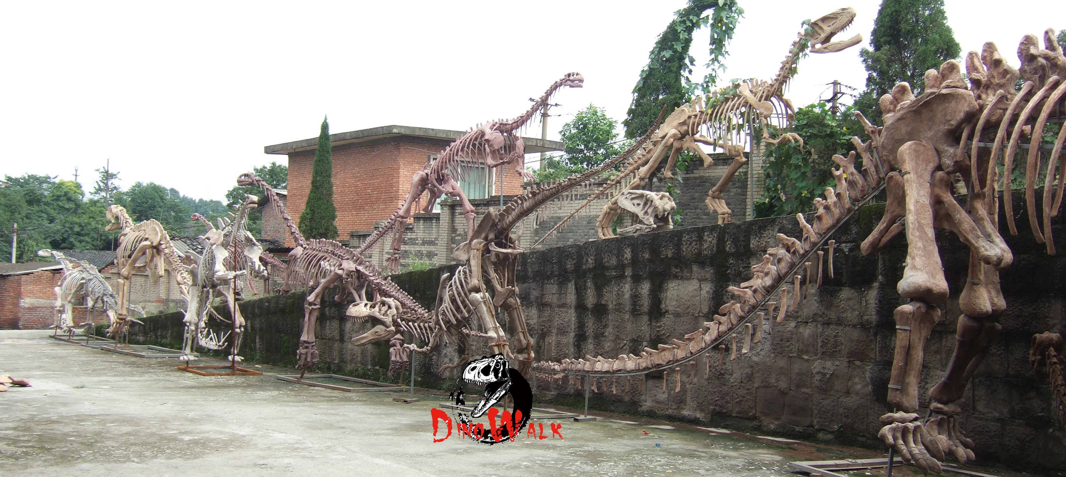 Plastic Artificial Dinosaur Skeletons - Durable & Realistic