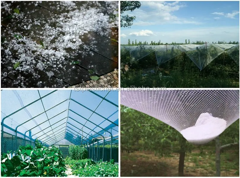 Fruit/crops Protection Net From Hail Damage For Gardens Hdpe Hail Guard ...