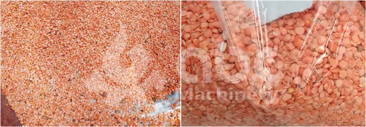 20T Lentil Processing Plant - Efficient Bean Skin Peeling