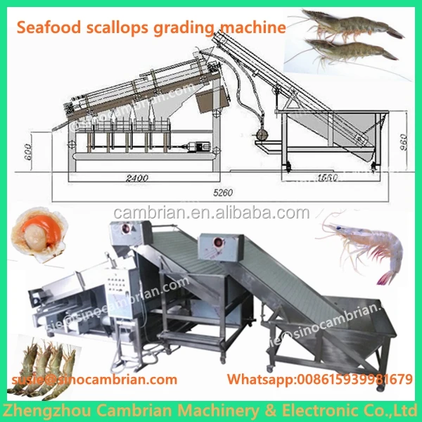5 Levels Shrimp Grading Machine Crayfish Sorter With Rotation Roller ...