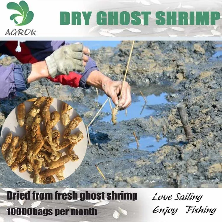 Dry Bait Freeze-dried Ghost Shrimp Made By Living Bait - Buy Ghost ...