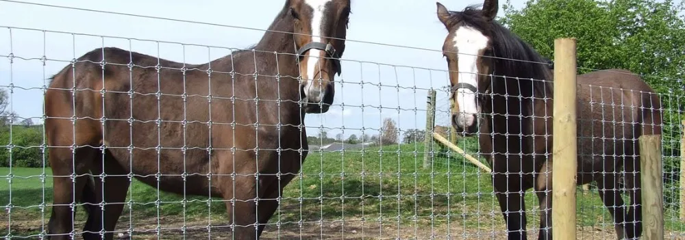 Hot Dipped Galvanized 13/115/15 Ringlock Fencing 13/115/30 Hinged Joint ...
