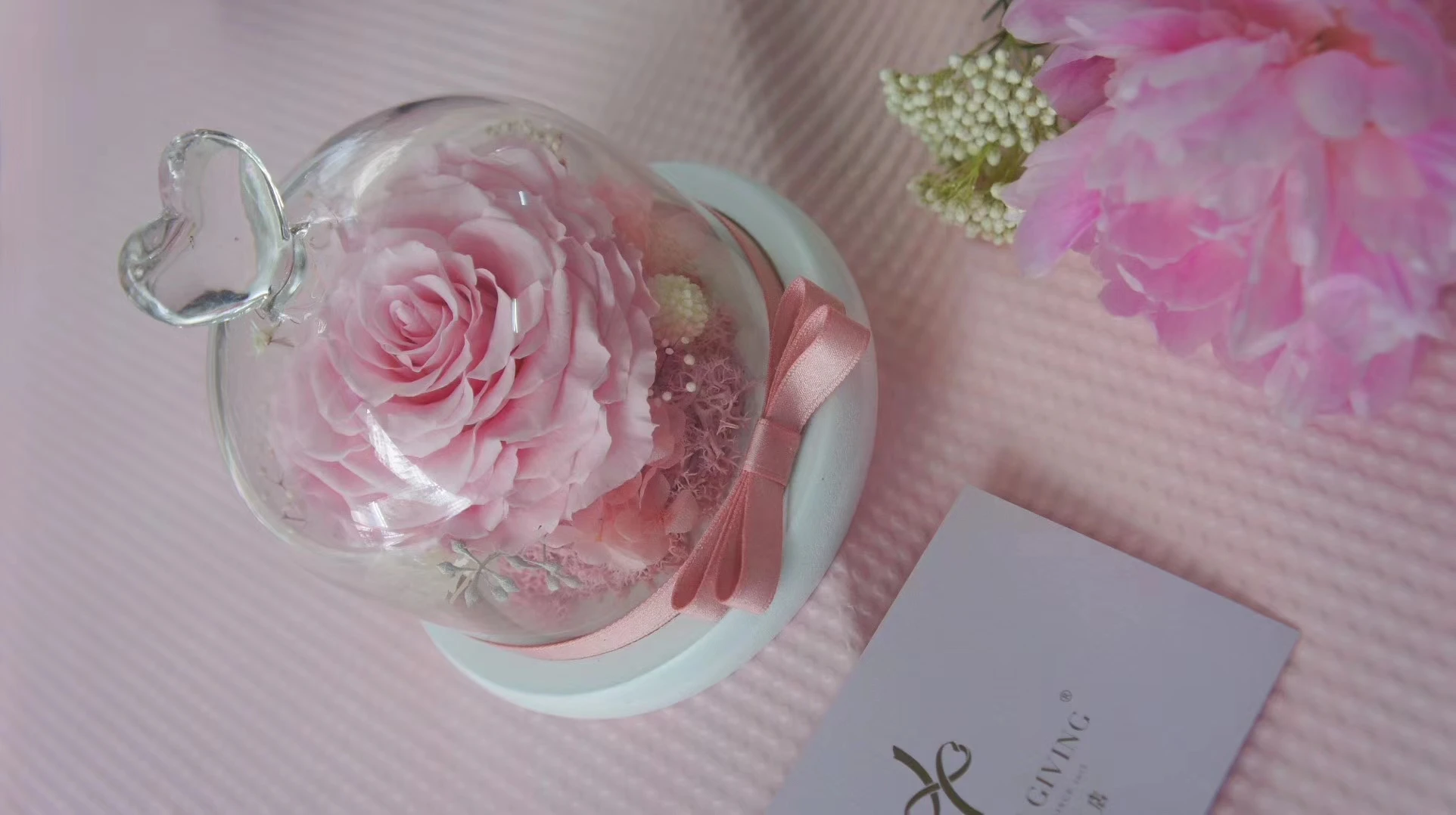 Love Eternity Stabilized Preserved Roses In Glass Tubes Dome For ...