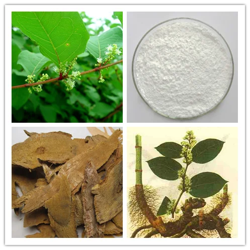 100%Polydatin Extract Polydatin 98% Powder| Alibaba.com