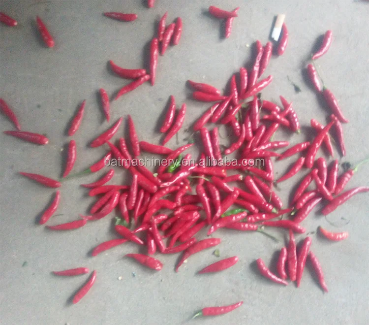 Red Chili Hot Pepper Harvester Chilli Picker Chili Picking Machine With ...