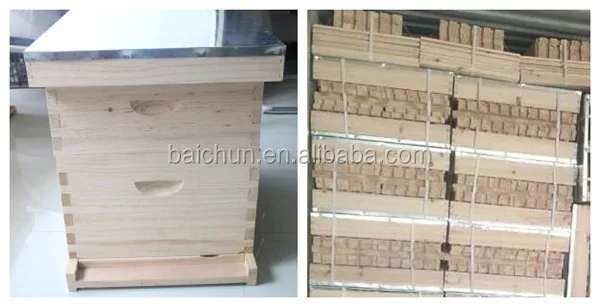 Two Layers 10 Frames Wooden Langstroth Bee Hive - Best Price