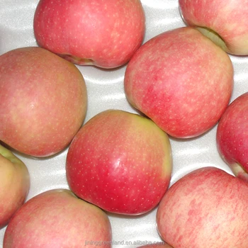 Sweet Apple Fruit/gala Apple/fuji Apple Price 20kg/carton - Buy Fruit ...