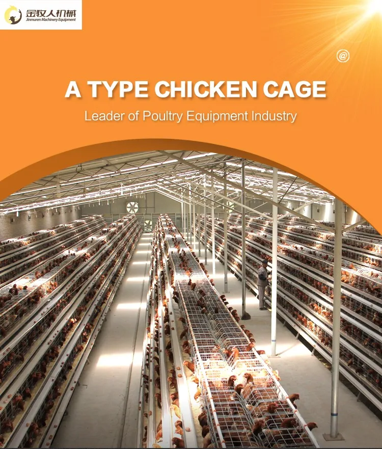 Jinmuren Baby Chick Cage Brooder Cage Equipment Use Chicks From 0-60 ...