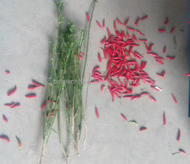 Red Chili Hot Pepper Harvester Chilli Picker Chili Picking Machine With ...