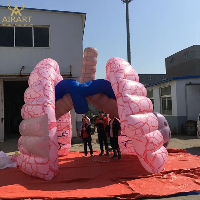 Giant Inflatable Female Legs As Advertisement For The Exhibition - Buy ...