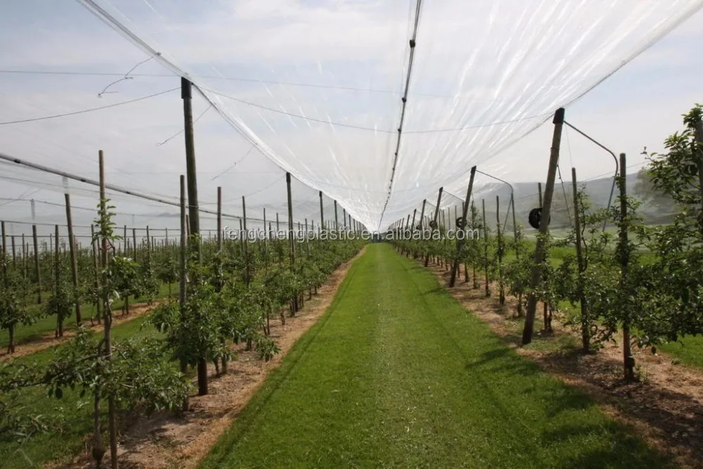 Virgin Hdpe Uv Resistance Plastic Film,Reinforced Polyweave Greenhouse ...