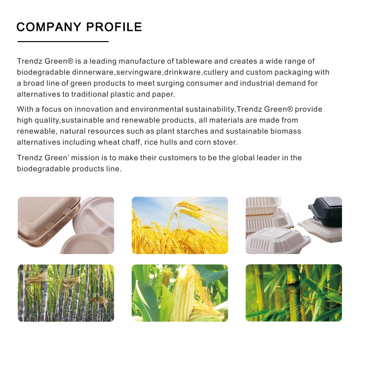 Biodegradable Compostable CPLA Cutlery Set with Knife Fork Spoon ...