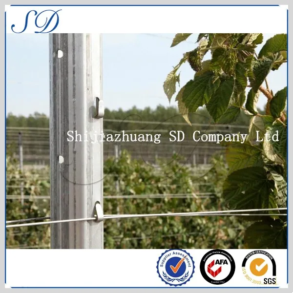 Galvanized Vineyard Post Grape Stake - Buy Vineyard Post,Vineyard Metal ...