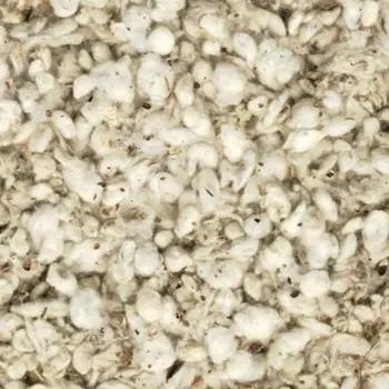 Cotton Gin Motes - Waste For Mushrooms - Buy Cotton Gin Motes,Cotton ...
