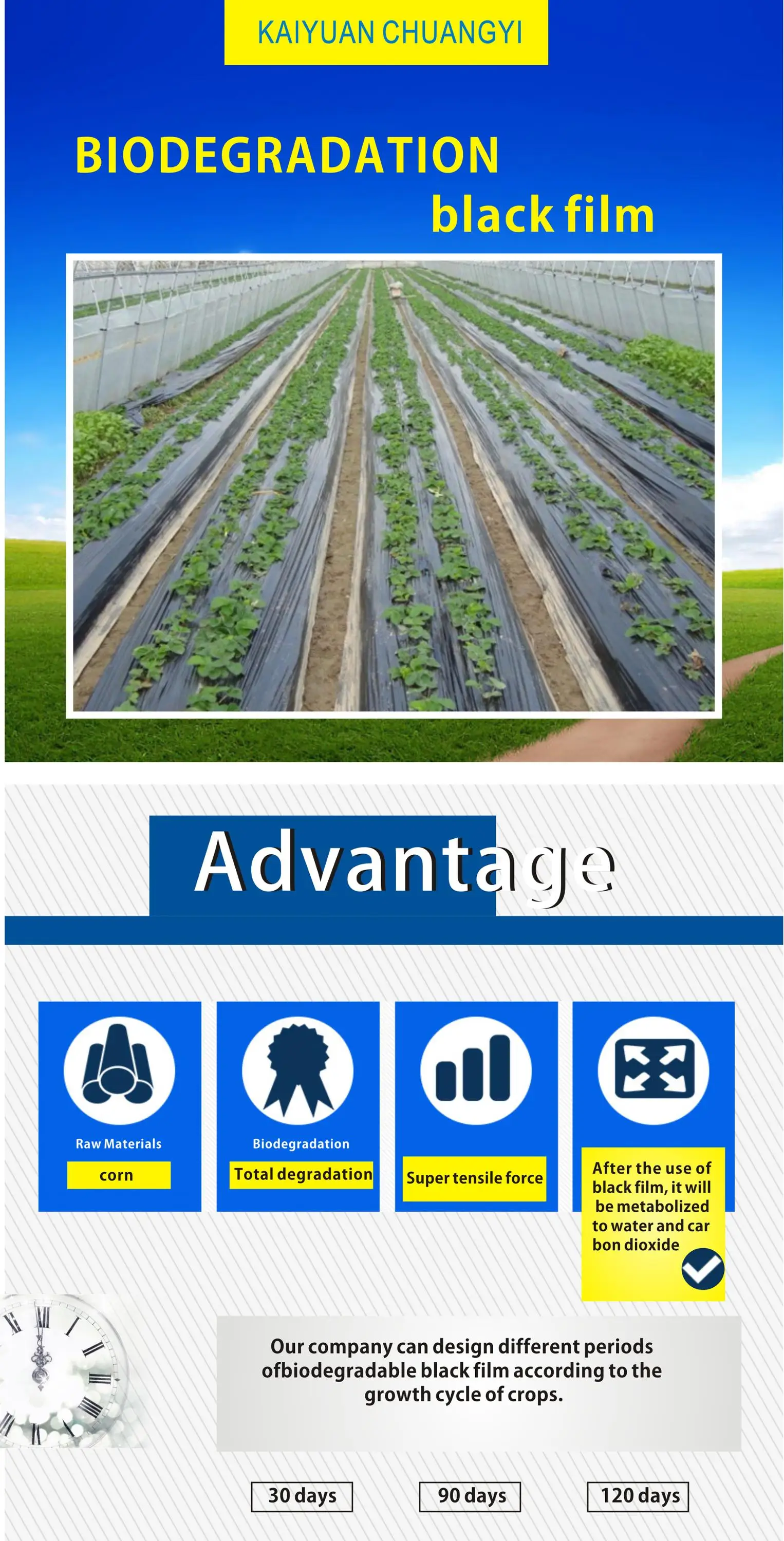 Agricultural Pbat Plad Biodegradable Breathable Plastic Film - Buy ...