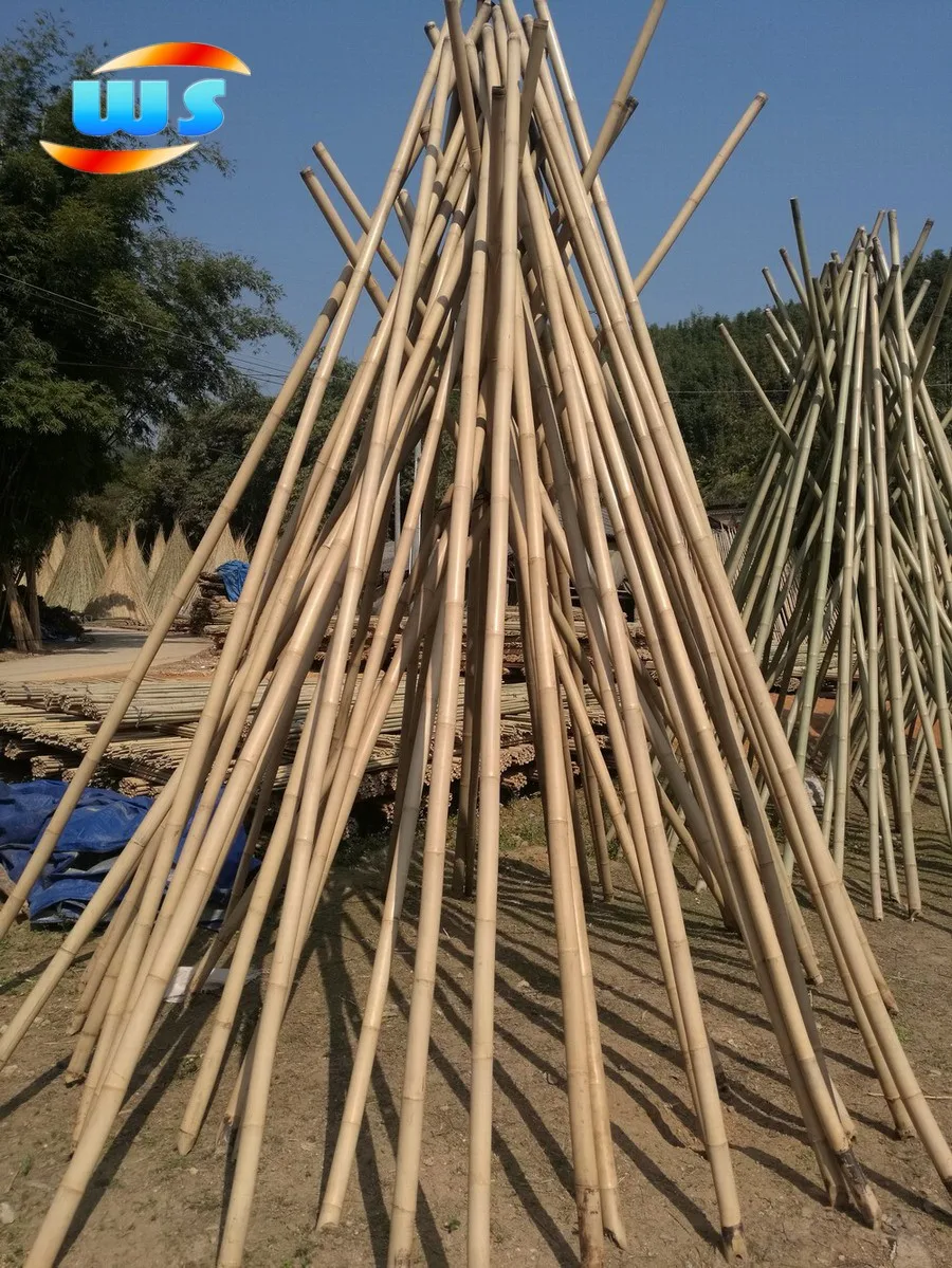 Bamboo Cane Pole Stake Stick Fishing Pole - Buy Bamboo Cane Pole ...