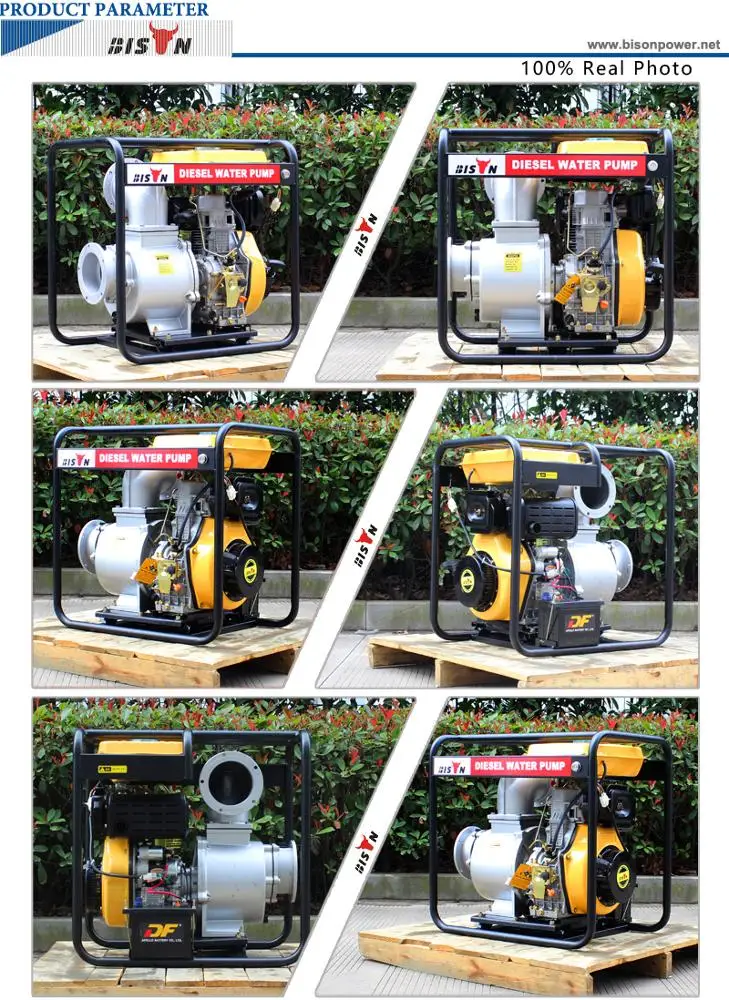 Bison(china) Bsd60(e) Electric Start Centrifugal 192f 10 Hp Diesel ...