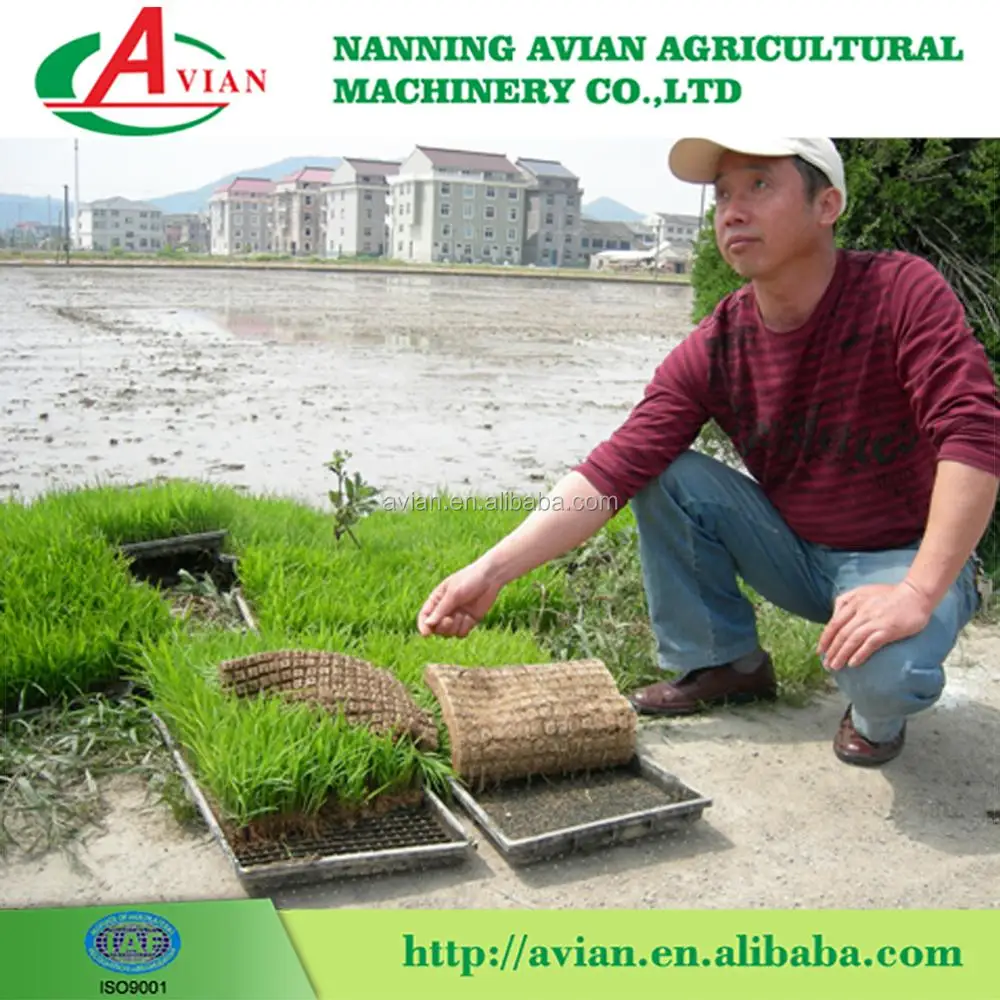 Agriculture Planter 6 Rows Manual Paddy Rice Transplanter - Buy Rice ...