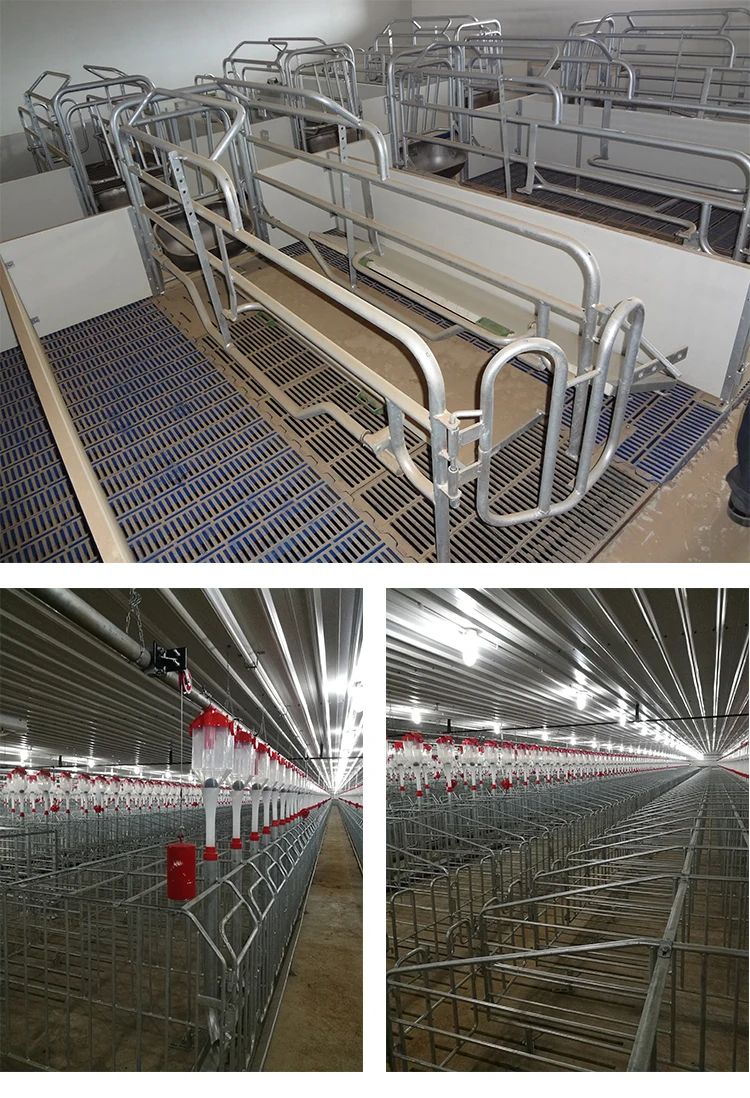 Sow Farm Gestation Crate Pig Breeding Equipment - Buy Sow Farm ...