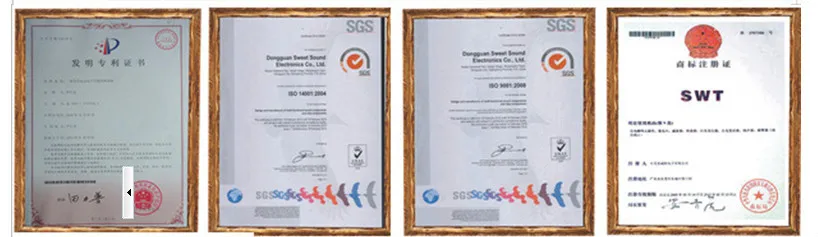 20mm 2.4MHZ Ultrasonic Piezo Atomizer for Nebulizer - SWT