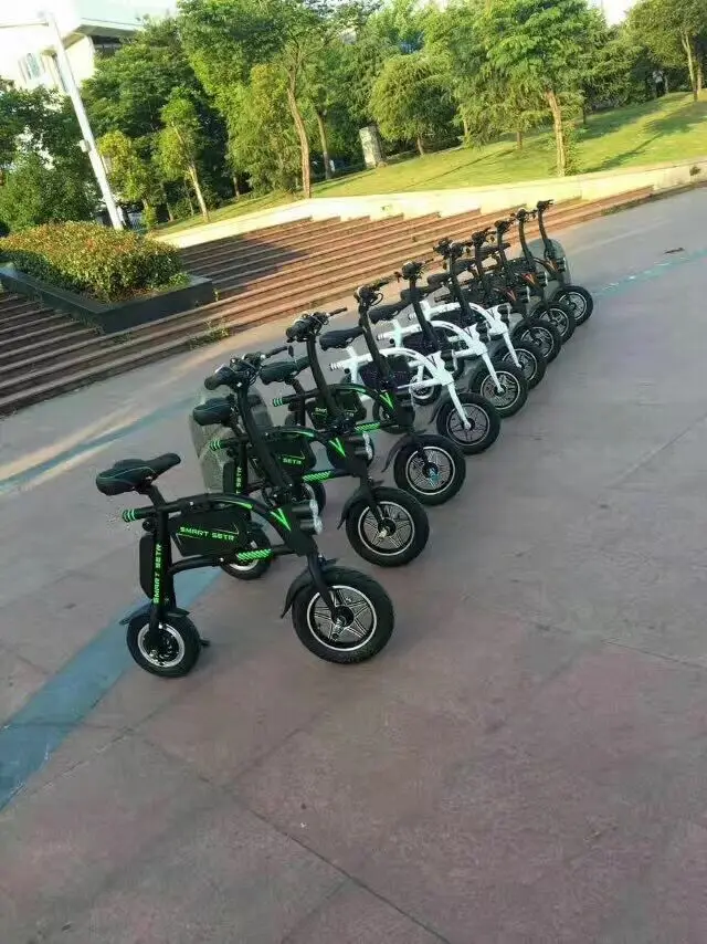 2 Wheel Portable Folding Electric Bike - Mini E-bike