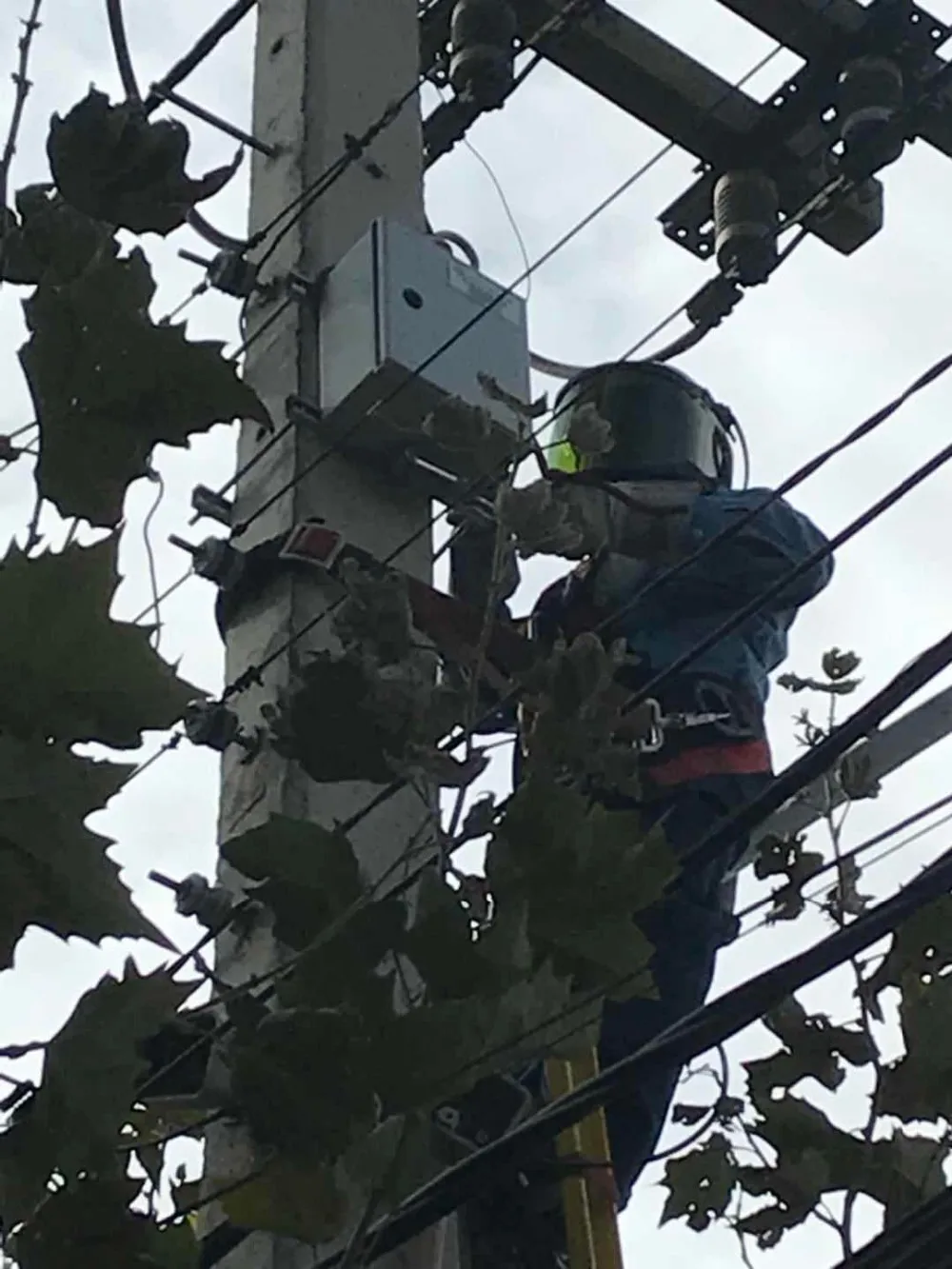 Overhead Line Phase Fault Indicator Lamps Smart Navigator - Buy Phase ...