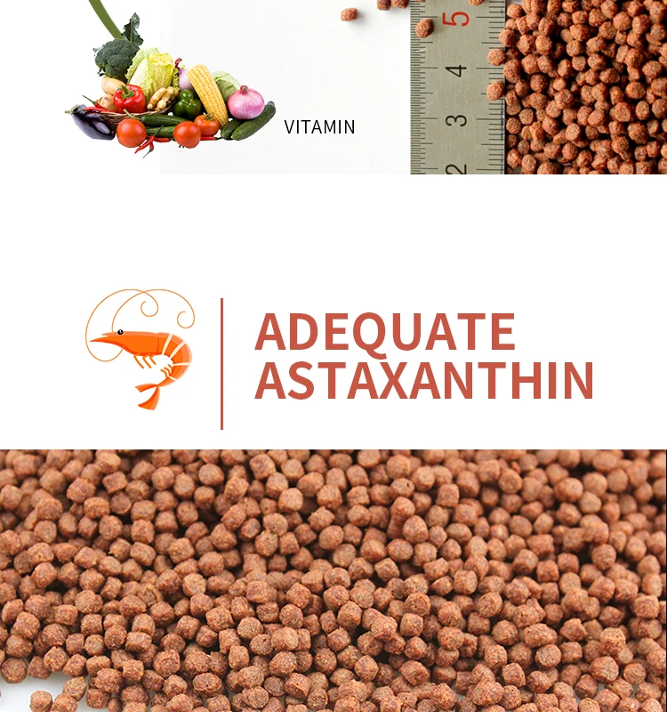 Floating Pellet Fish Food - Ideal for Koi & Goldfish