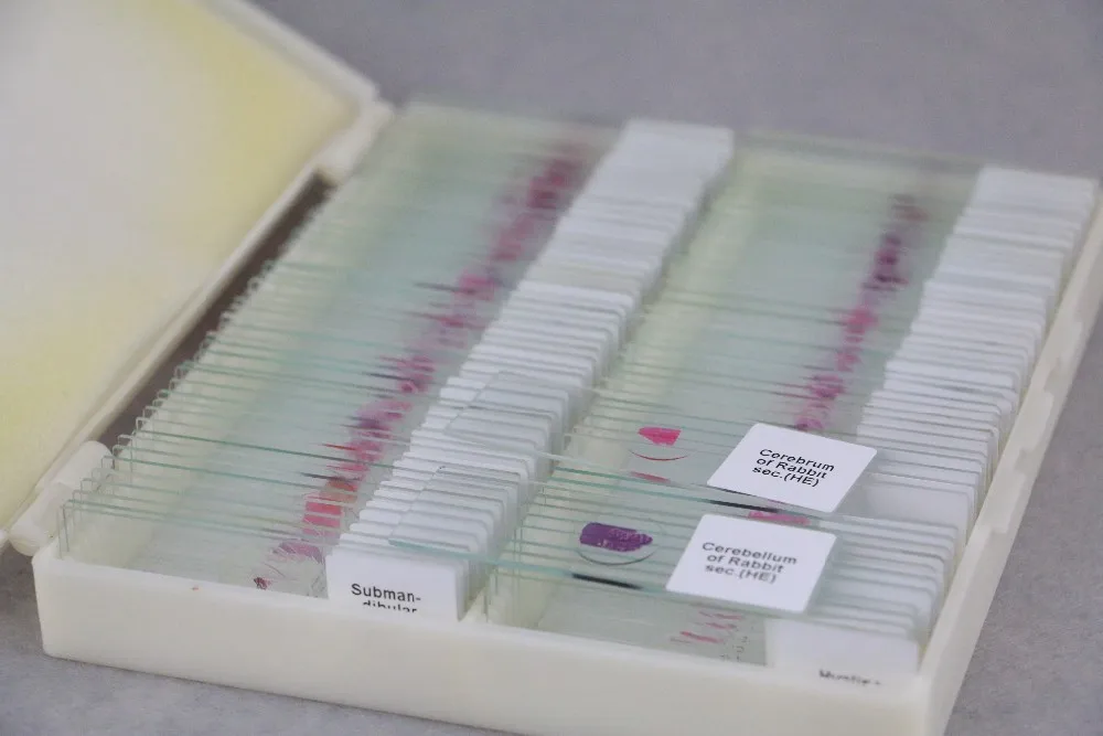 University study teaching biology medical microscope hematology ...