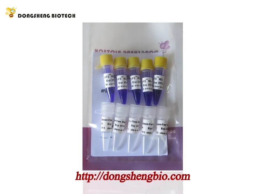 2x Fs Taq Pcr Mix With Fast Taq Dna Polymerase - Buy Fs Taq Mix Dna Rna ...