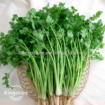 Highly Aromatic Chinese Parsley Seed For Sowing - Buy Coriander Seed,Cilantro,Yan Sui Product on ...
