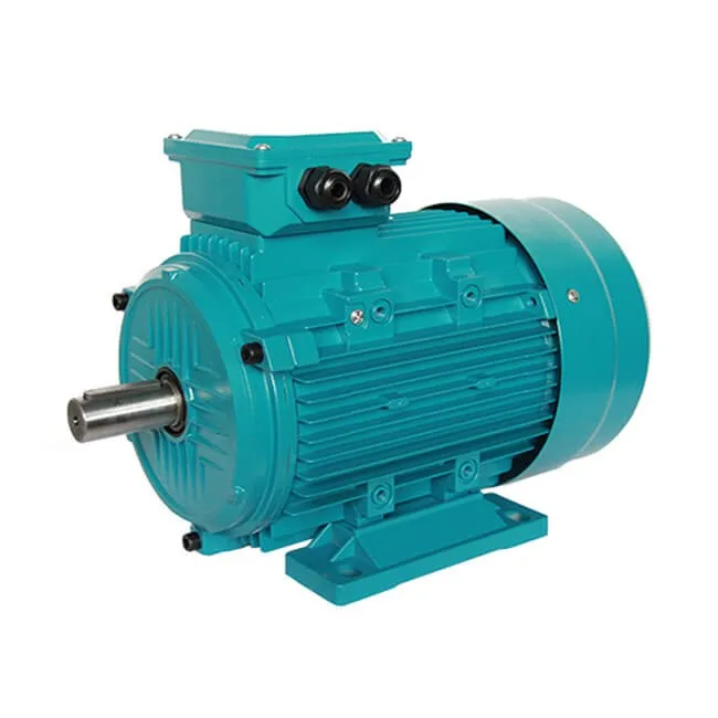 3 Phase Induction Motor 3kw 380V 50hz 1440 Rpm 4 Hp for MS100L2-4
