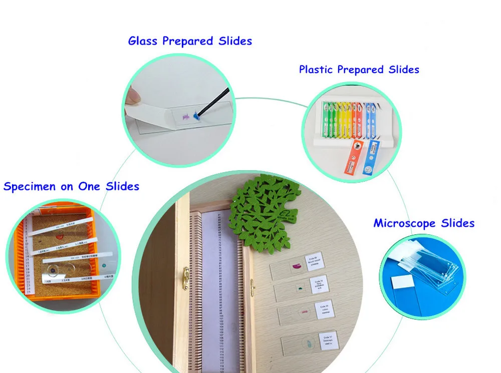 Microscope Prepared Slides 11pcs Lab Educational Biological Teaching ...