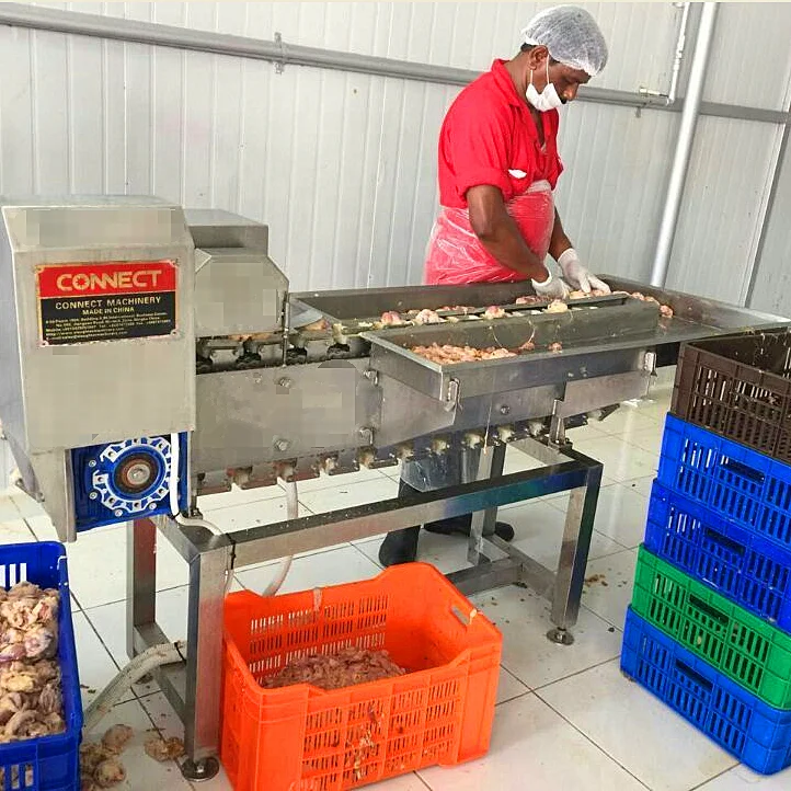 High Efficiency Poultry Processing Line - Gizzards Cutter