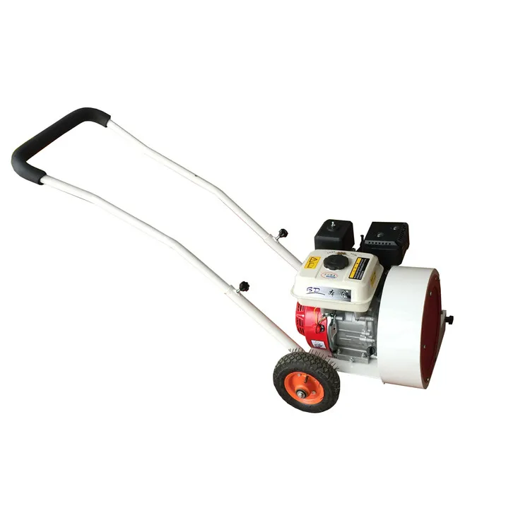 Efficient Asphalt Cleaning with Small Concrete Road Blower