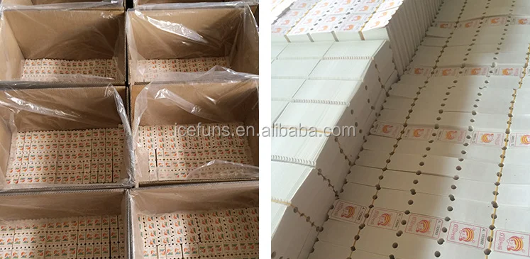 Custom Raffle Ticket Roll Printing for Arcade Games - High-Quality ...