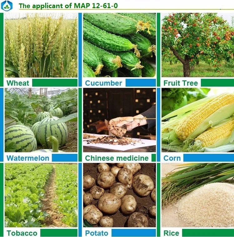 Quick Release MAP Granular Compound Fertilizer for Agriculture