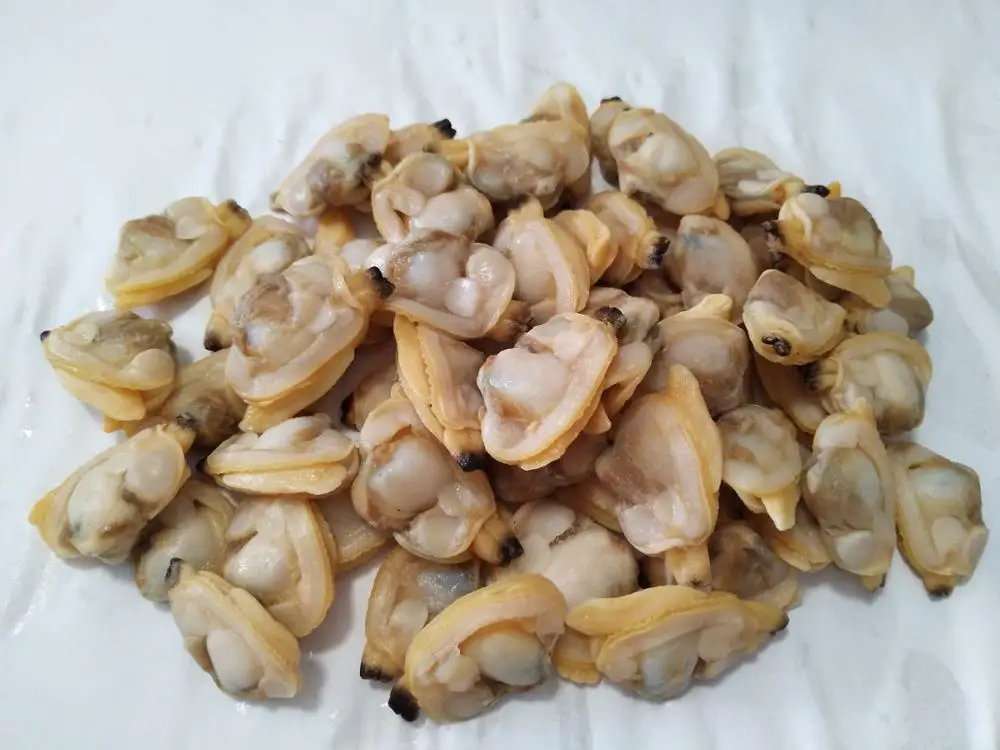 Clam Meat In Shellfish - Buy Frozen Clam Meat,Short Neck Clam Meat ...