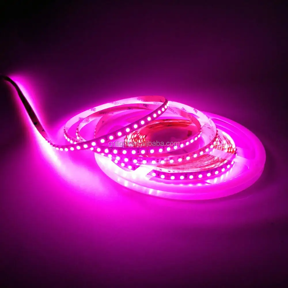 High Quality Led Strip Light China Supplier 3528 Flexible Color Pink ...