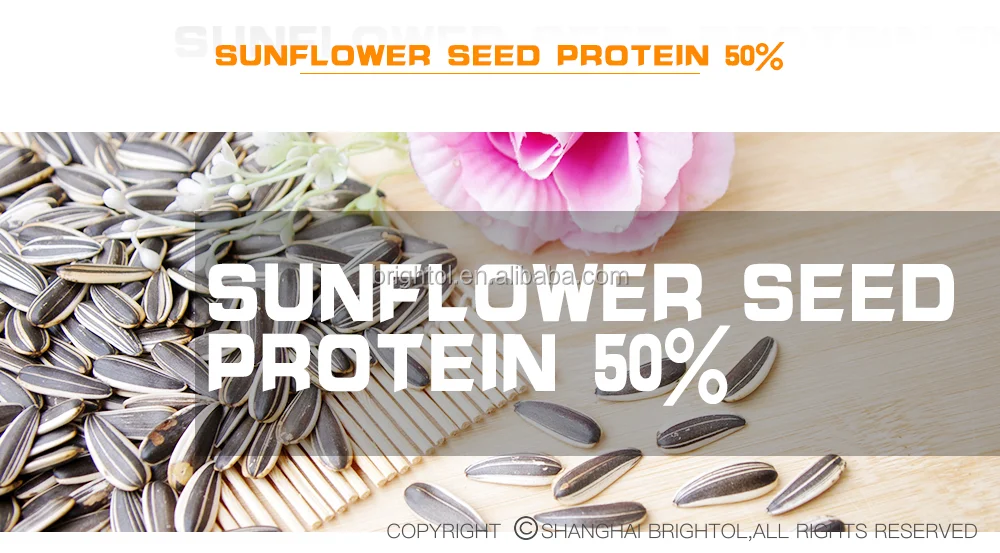 Functional Health Food Products Sunflower Seed Protein - Buy High ...