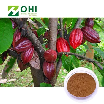 Cocoa Bean Shell Powder Extract Cocoa Color - Buy Cocoa Bean Shell ...